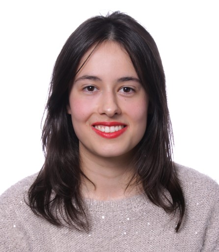 Les voix des textes. Traduction, interprétation, littérature, de ...