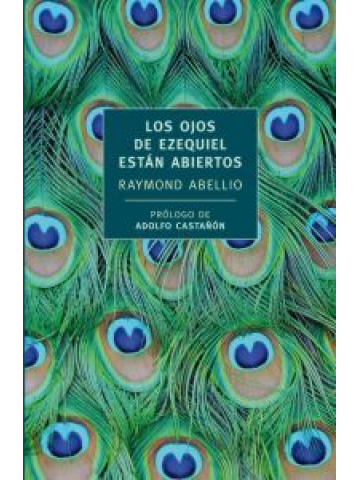 Los ojos del lector siguen vendados, Puri Meseguer - Vasos Comunicantes ...